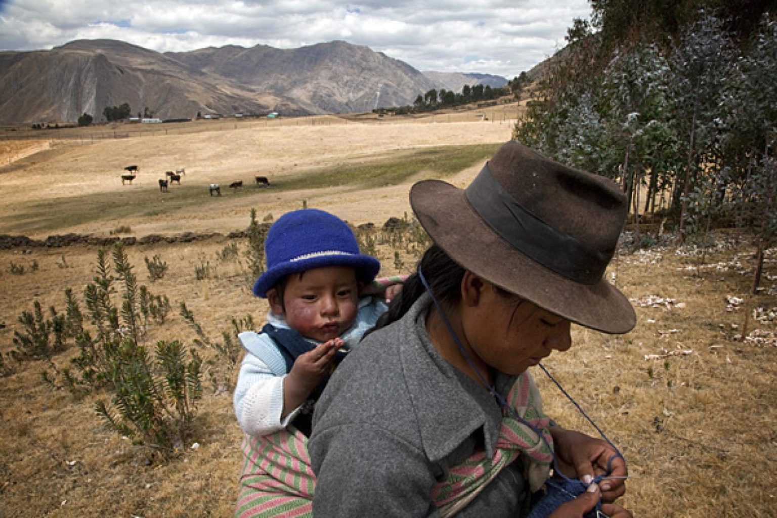 feat-peru-05232026 – The Red Herald